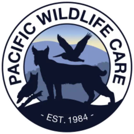 Rescue, Rehabiltate & Educate: Helping the Wildlife of SLO County